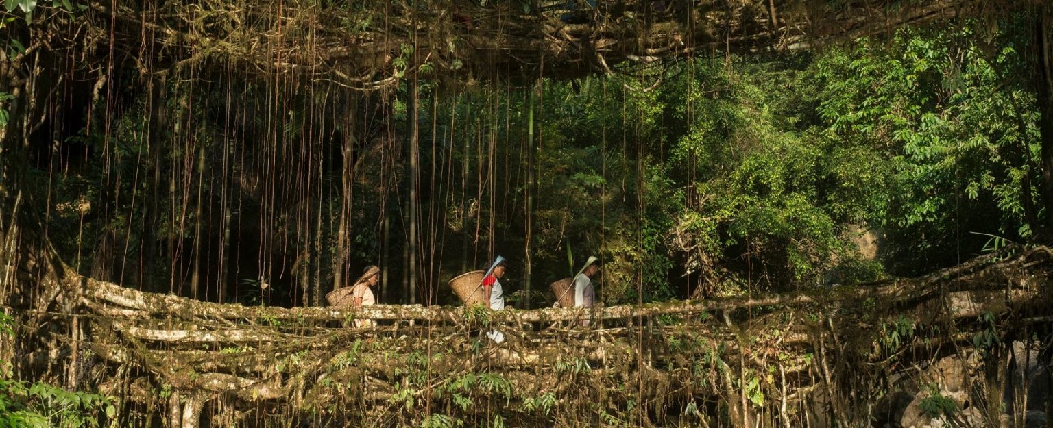 Think Piece: Where Indigenous Design Leads – Only Natural Design ...